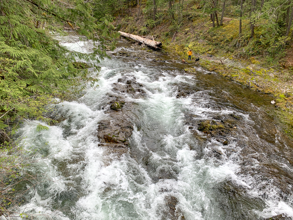 Travel: Little Qualicum Falls — 3ten — a lifestyle blog