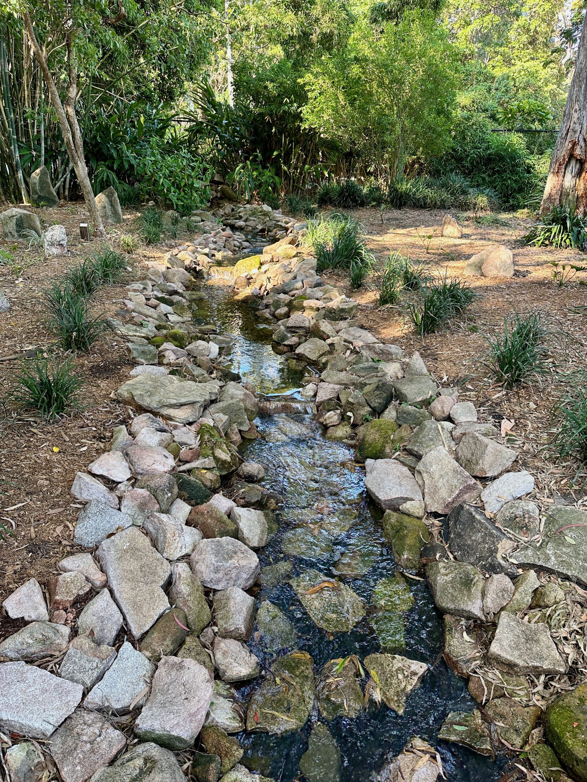 Travel: Hervey Bay Botanical Gardens — 3ten — a lifestyle blog